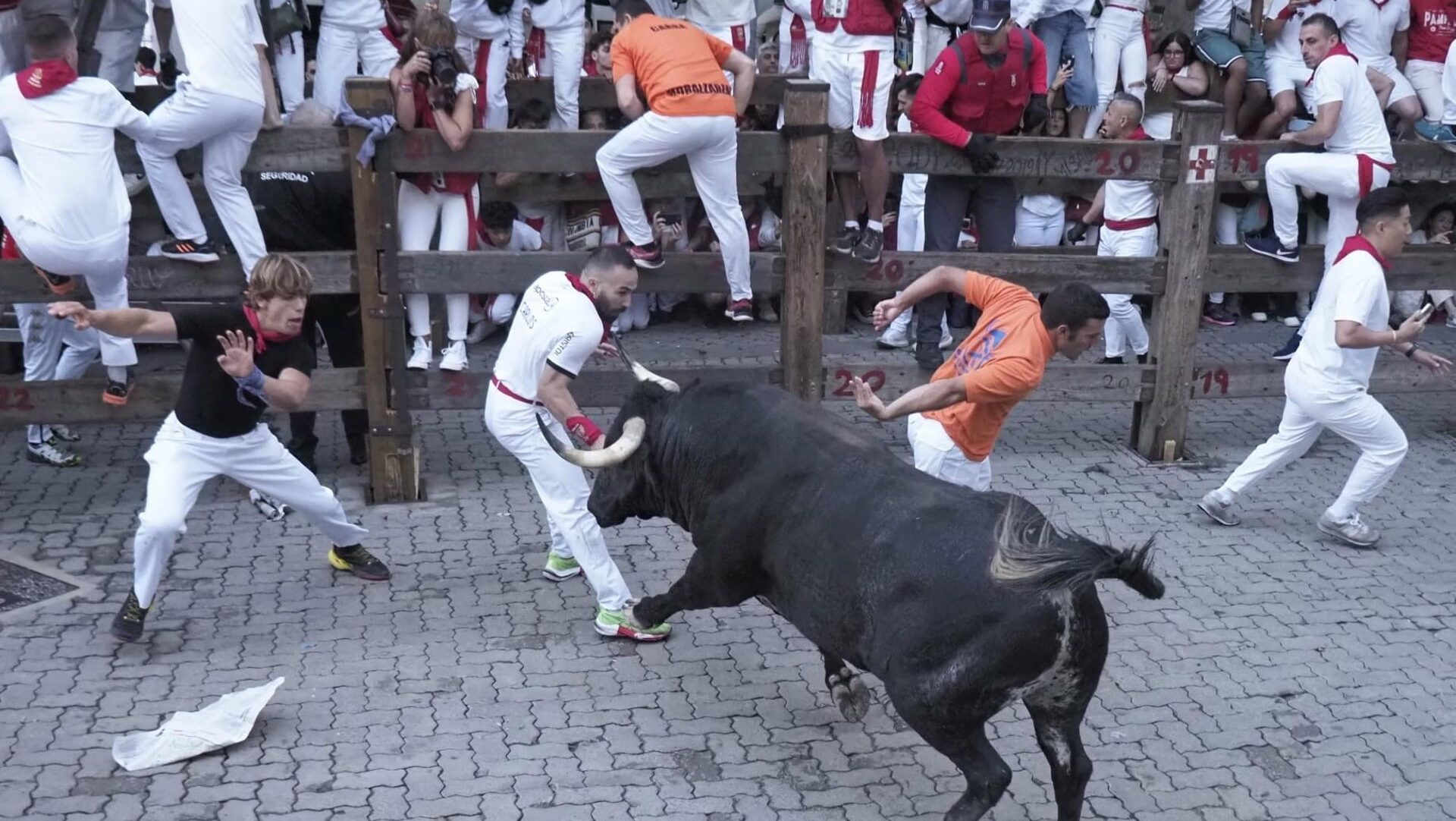 Un toro de Cebada Gago siembra el pánico en el segundo encierro de San ...